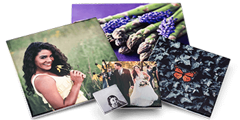 Bay ROES - Full Featured Software for Professional Photographers | Bay ...