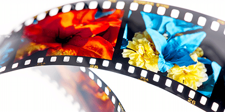 Professional Photo Printing Products & Services | Bay Photo Lab