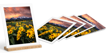 Bay ROES - Full Featured Software for Professional Photographers | Bay ...