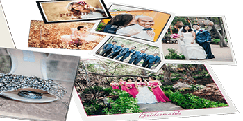 Bay ROES - Full Featured Software for Professional Photographers | Bay ...